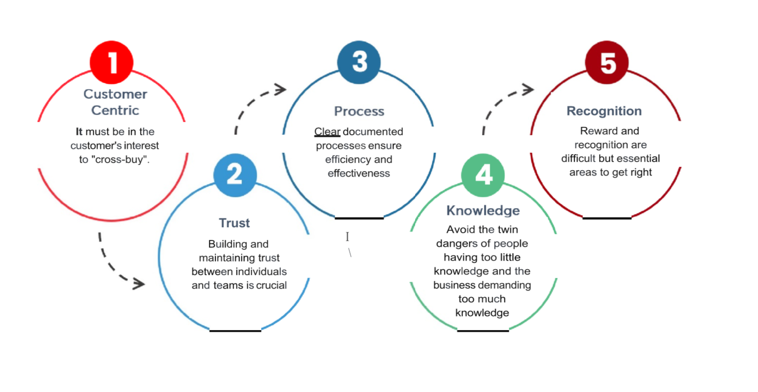 Insurance Growth - SalesWisdom